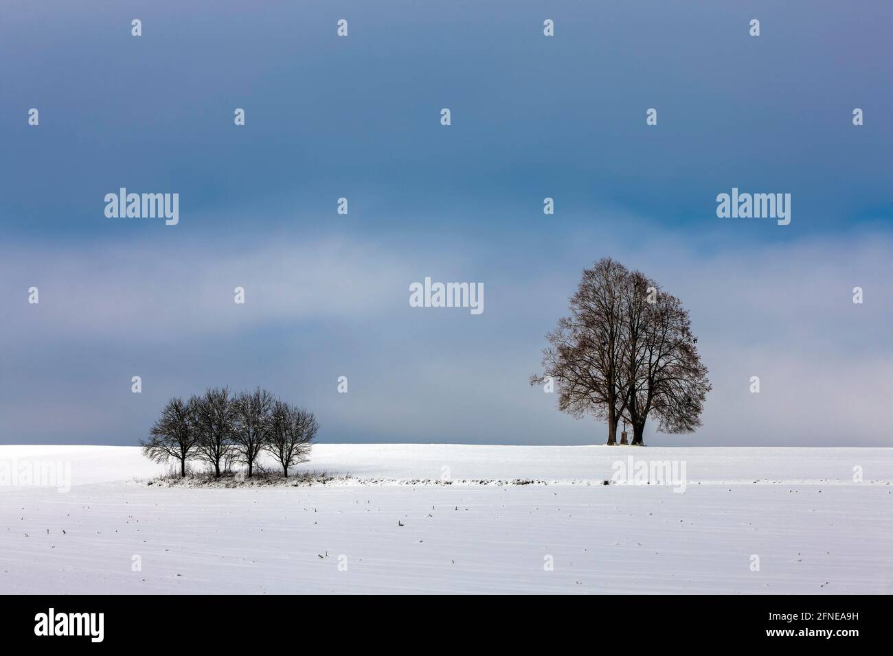 Pair of trees with a cross and a group of four trees in the snow ...