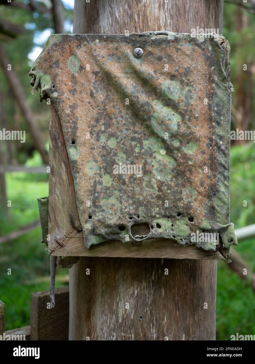 Decaying blank sign, Coal Creek, Korumburra, Australia Stock Photo - Alamy