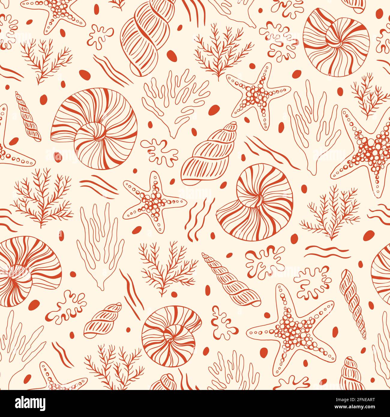 Hand-Drawn Sea Shells, Fossils, Starfish, Corals, Seaweeds, Waves ...