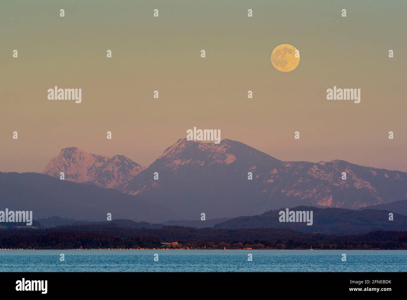 Full moon, moonrise over the Chiemsee, evening, July, Gstadt, Chiemsee ...