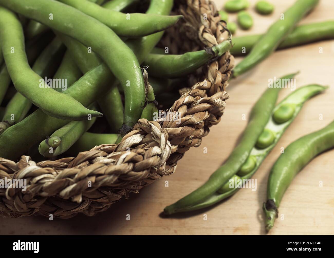 Fava bean, Field bean, Broad bean, Horse bean, Broad bean, Butterfly ...