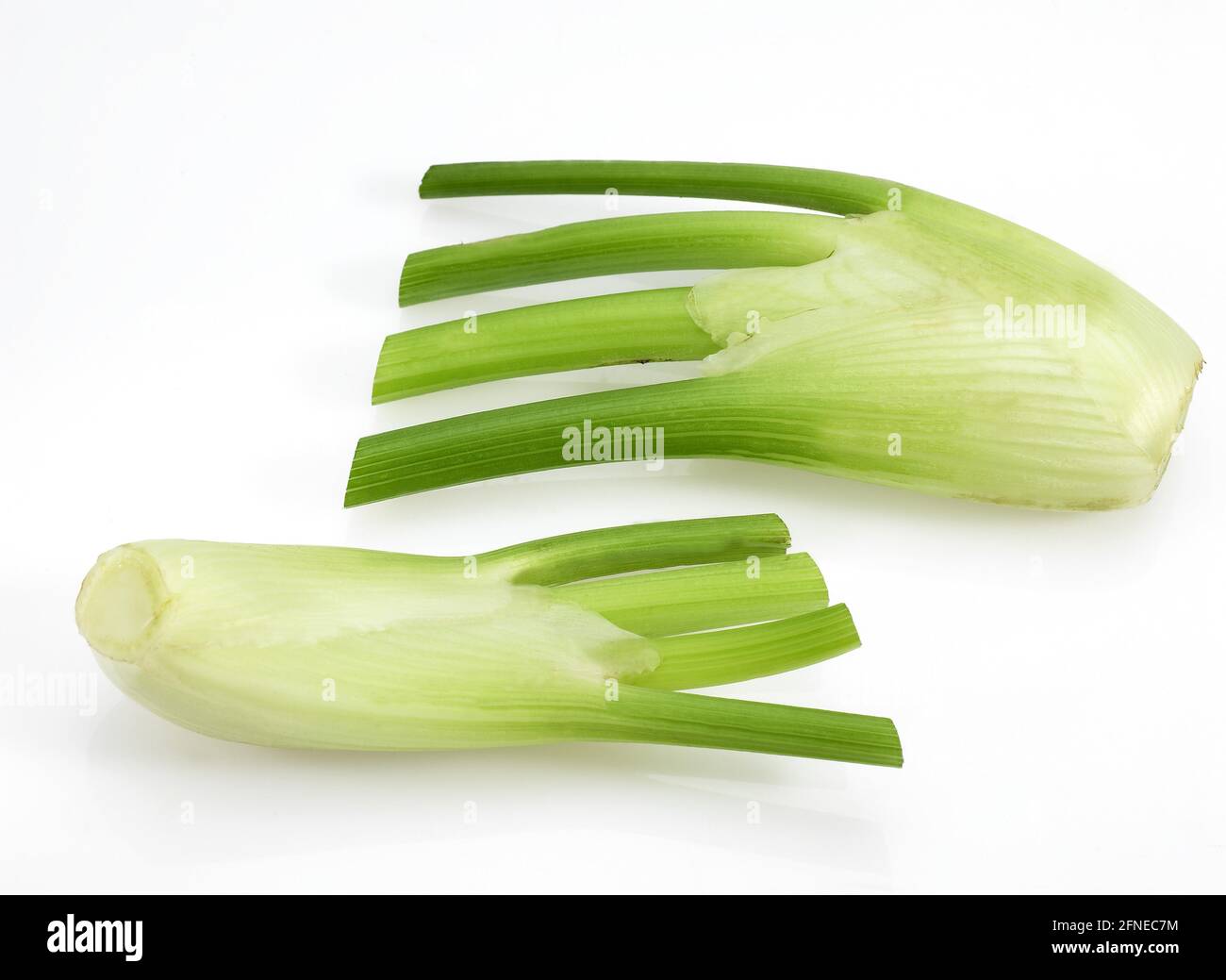 Small fennel (foeniculum vulgare), vegetable against white background ...