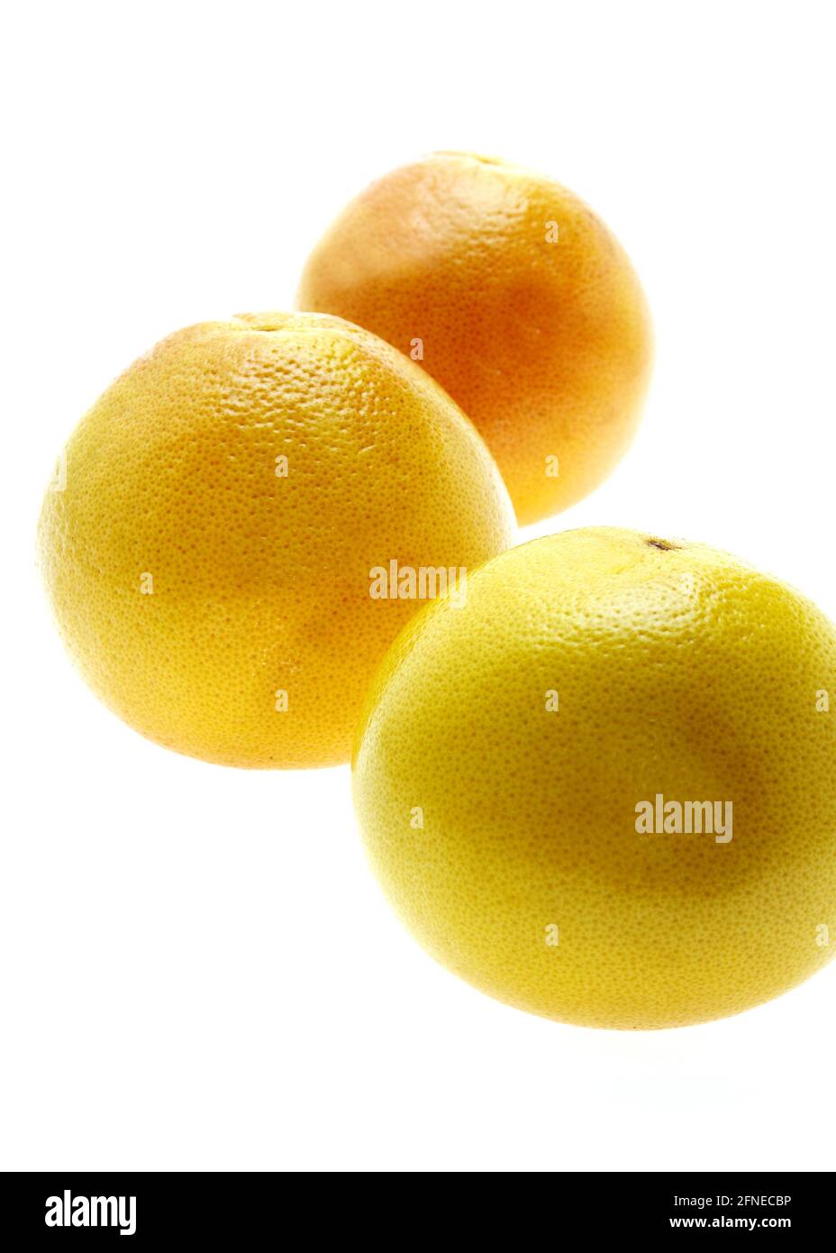 Grapefruit, citrus grandis against a white background Stock Photo - Alamy