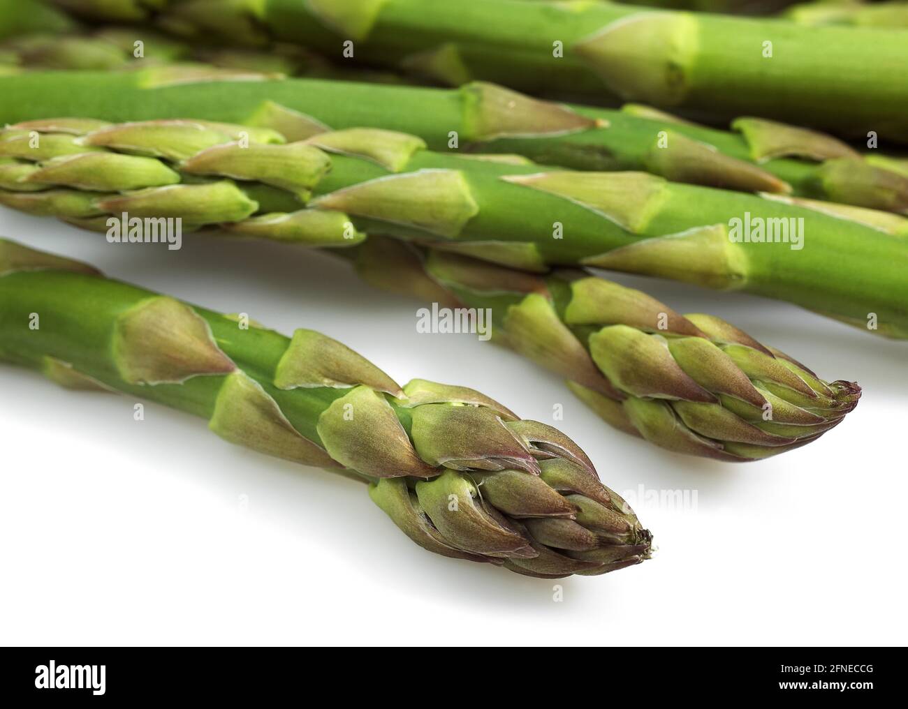 Green asparagus, asparagus officinalis, vegetable against white ...