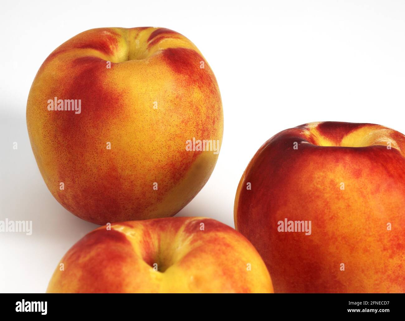 NECTARINE FRUIT (prunus persica) against a white background Stock Photo ...