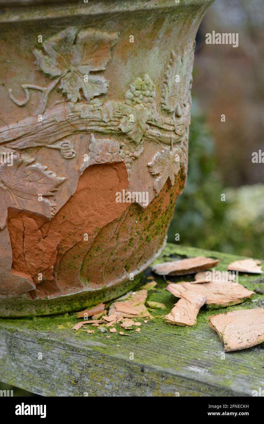 Terracotta pot frost hi-res stock photography and images - Alamy