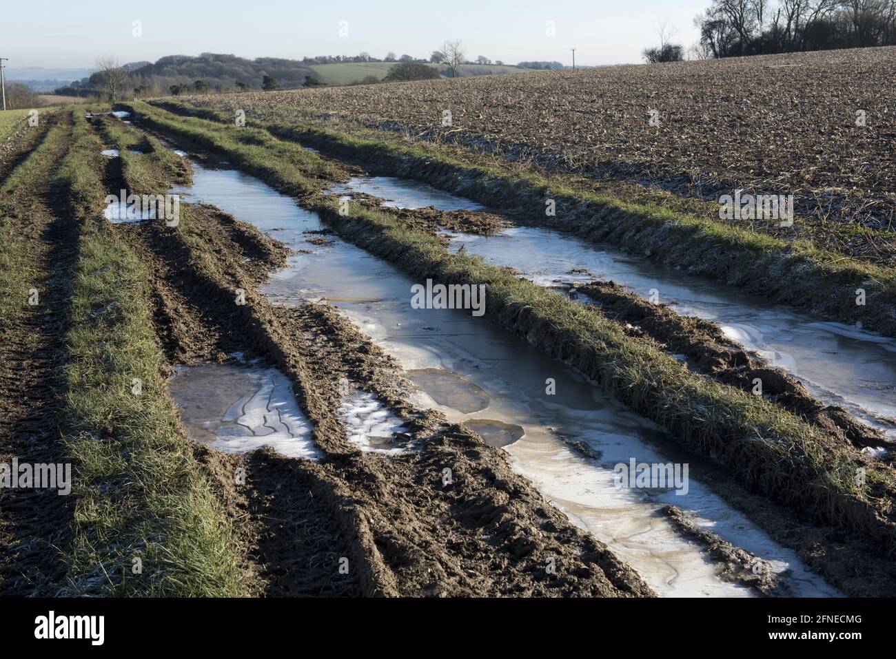 Puddles in deep tractor ruts frozen on cold bright winter morning, West ...