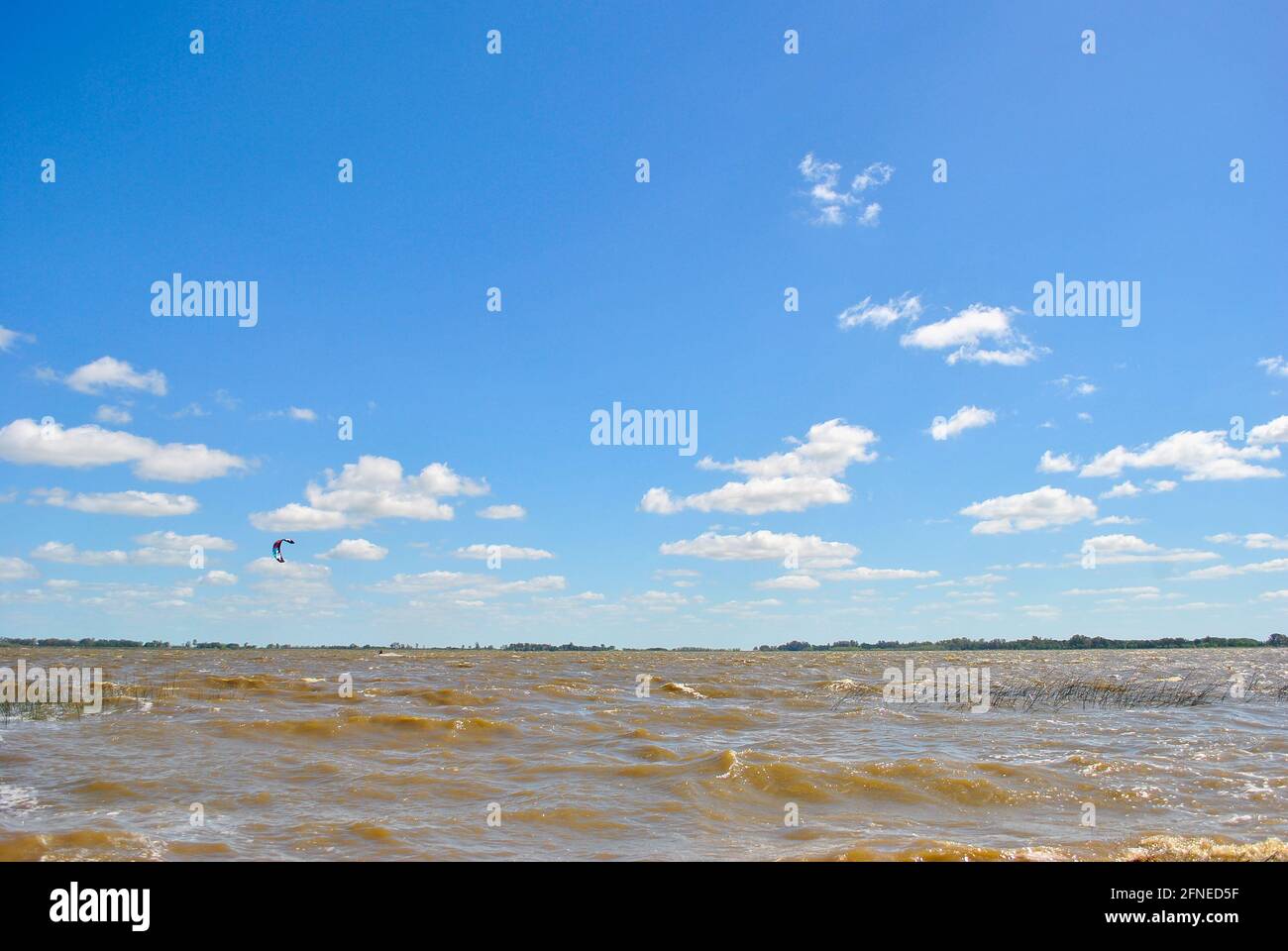 Closeup shot polluted lake hi-res stock photography and images - Alamy