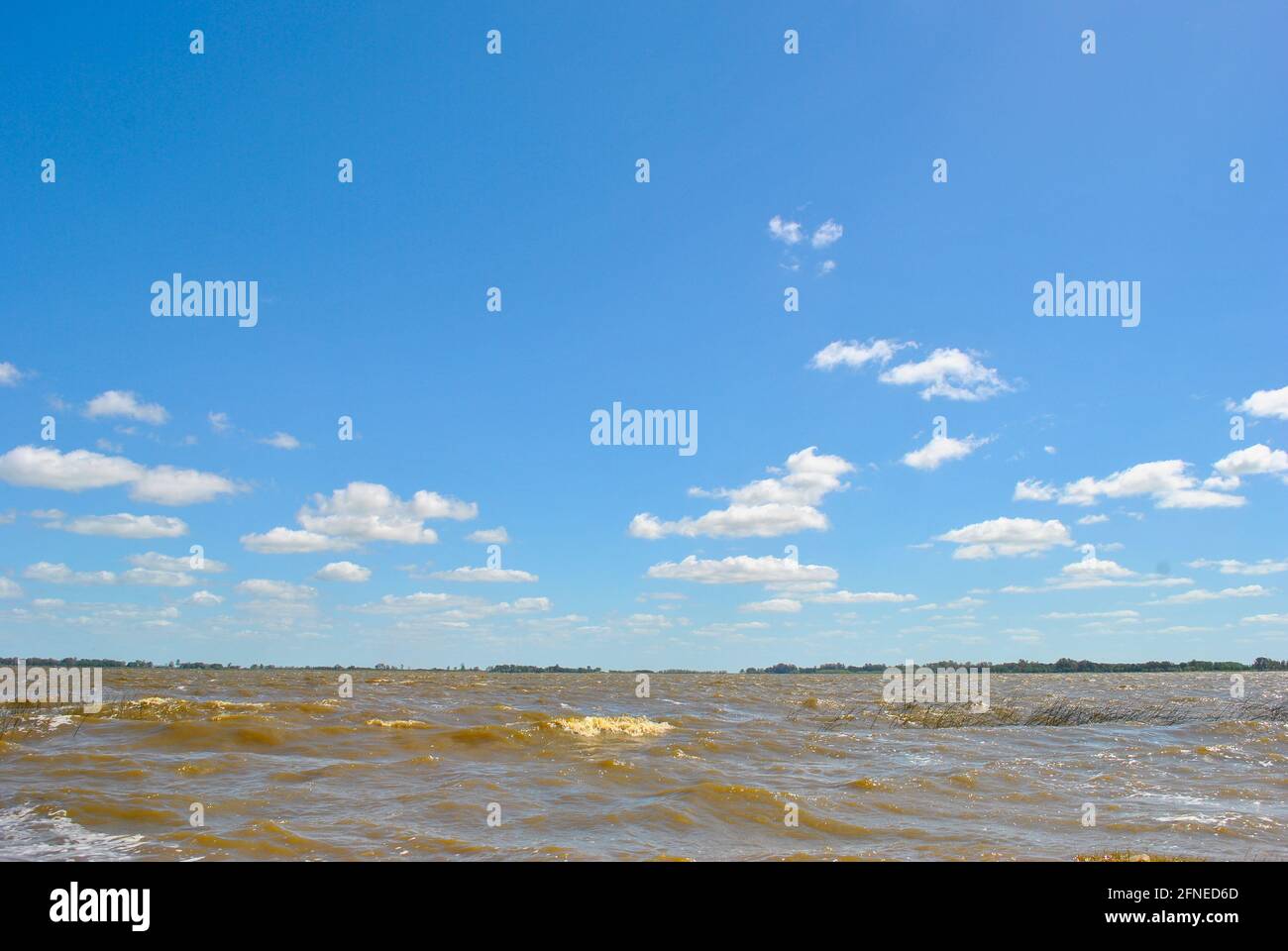 Closeup shot polluted lake hi-res stock photography and images - Alamy