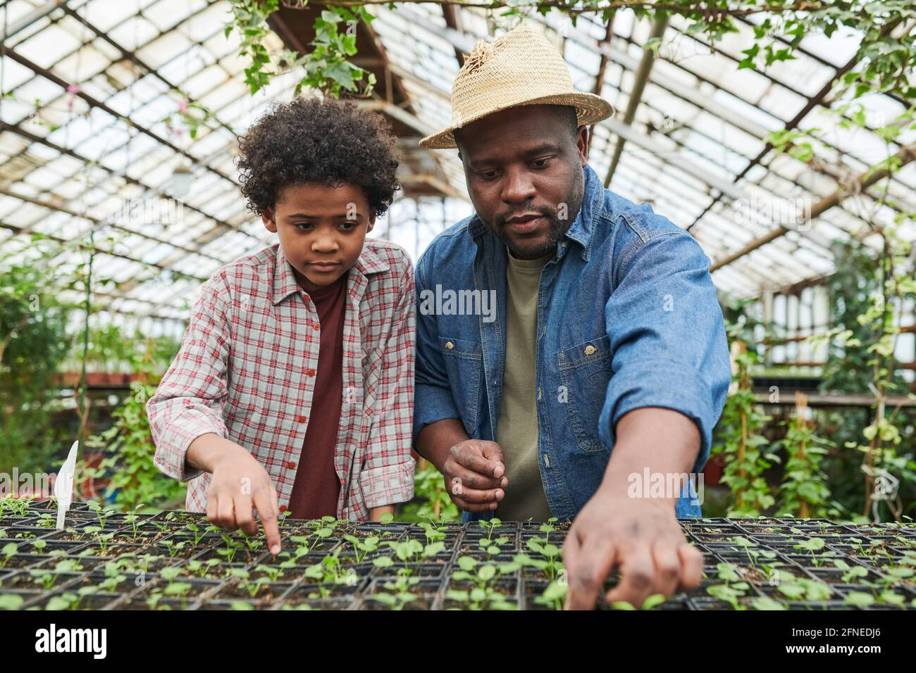 African conservation agriculture hi-res stock photography and images ...