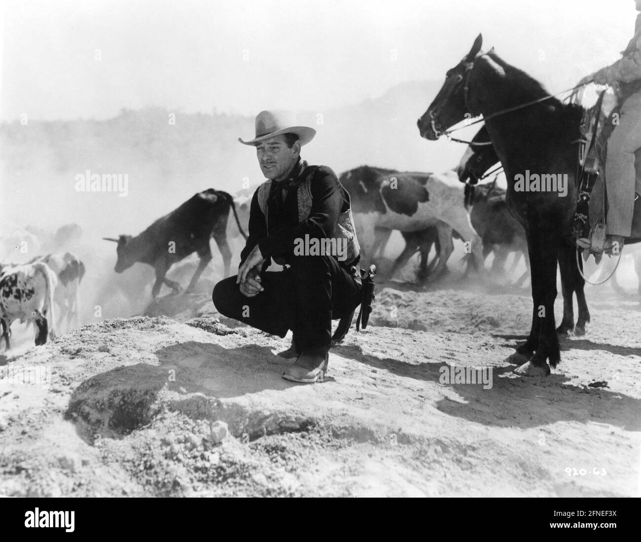Nugent drive hi-res stock photography and images - Alamy