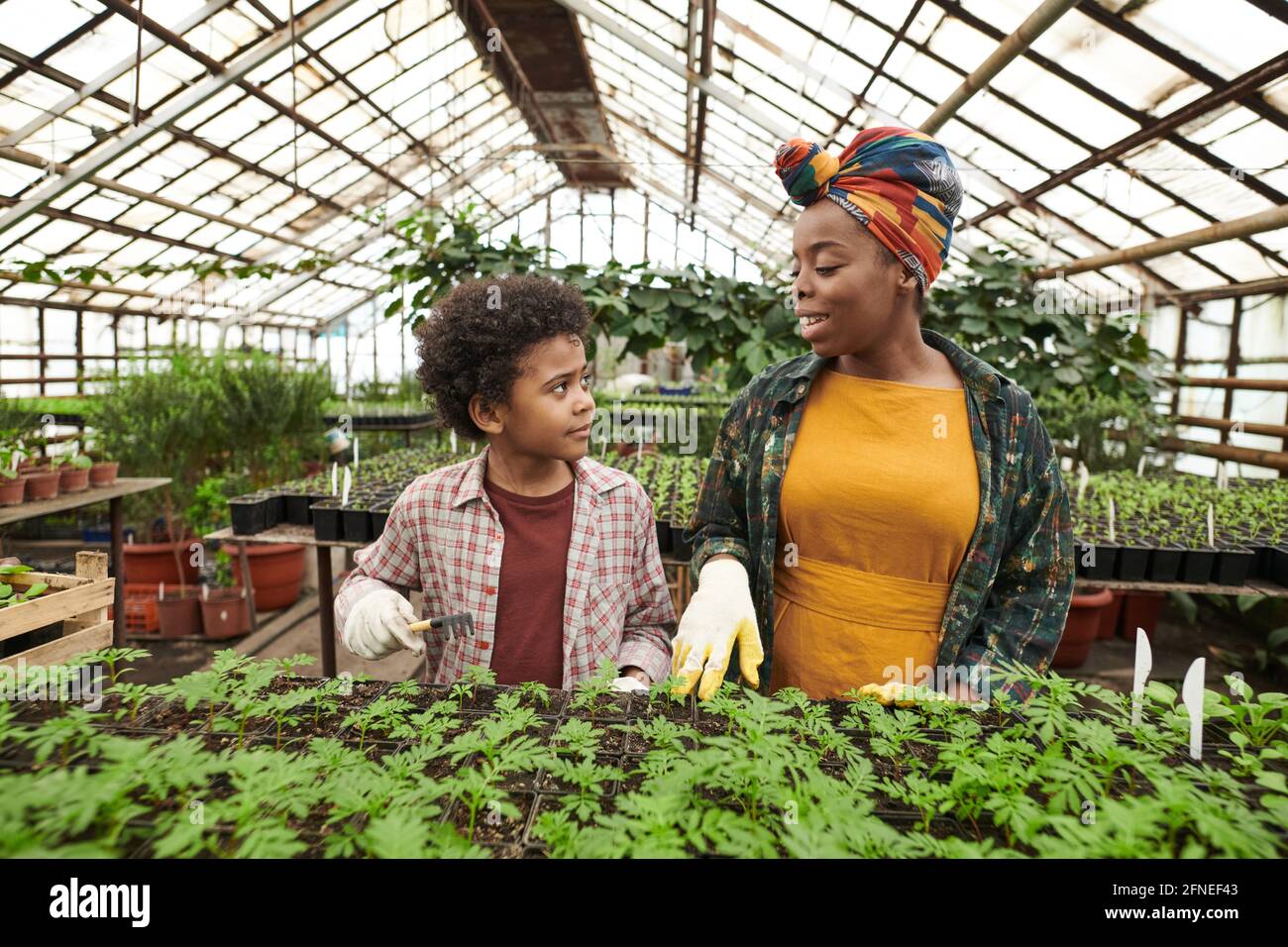 Two boys greenhouse hi-res stock photography and images - Alamy