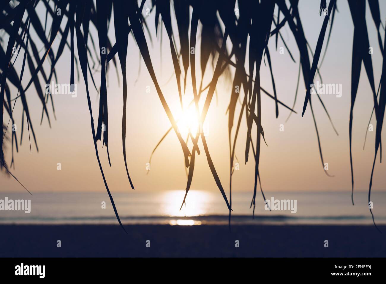 Tropical nature clean beach sunset sky time with sun light background ...