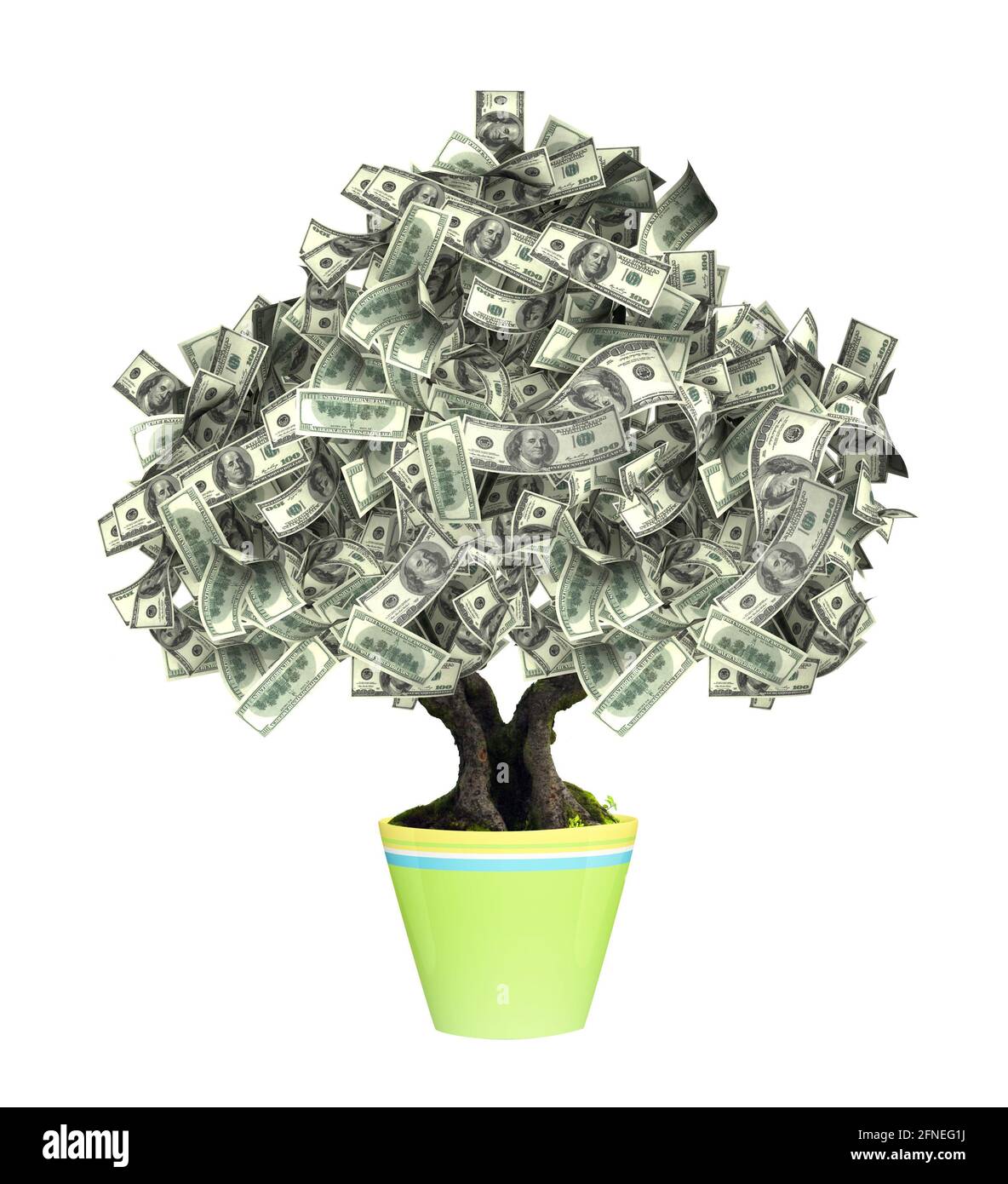 Money tree with dollar banknotes. Isolated on white background. 3d ...
