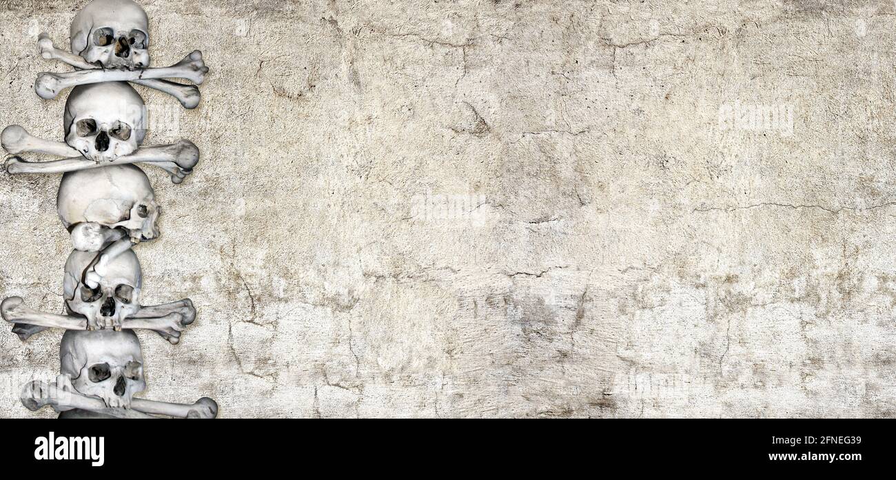 Halloween grunge background with texture of old wall and human skull ...