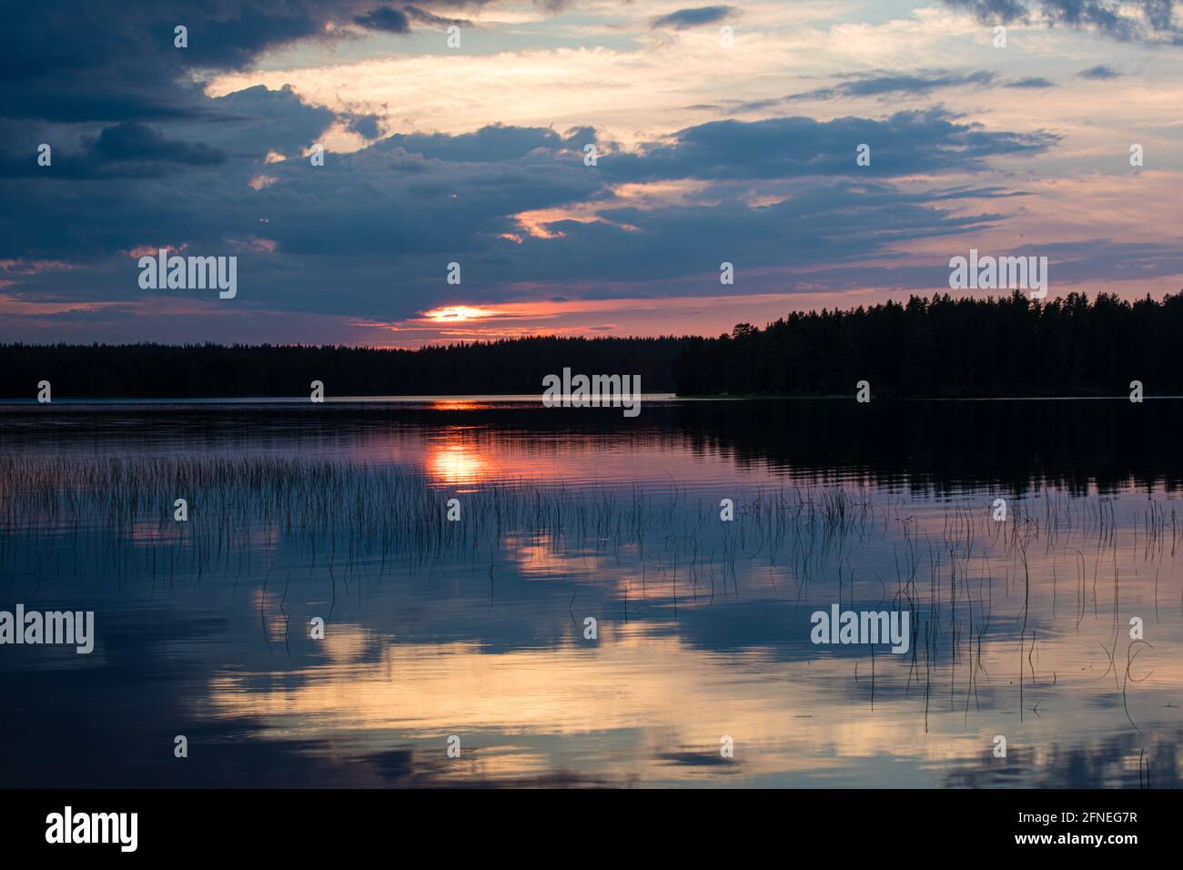 Hossa National Park, Finland Stock Photo - Alamy