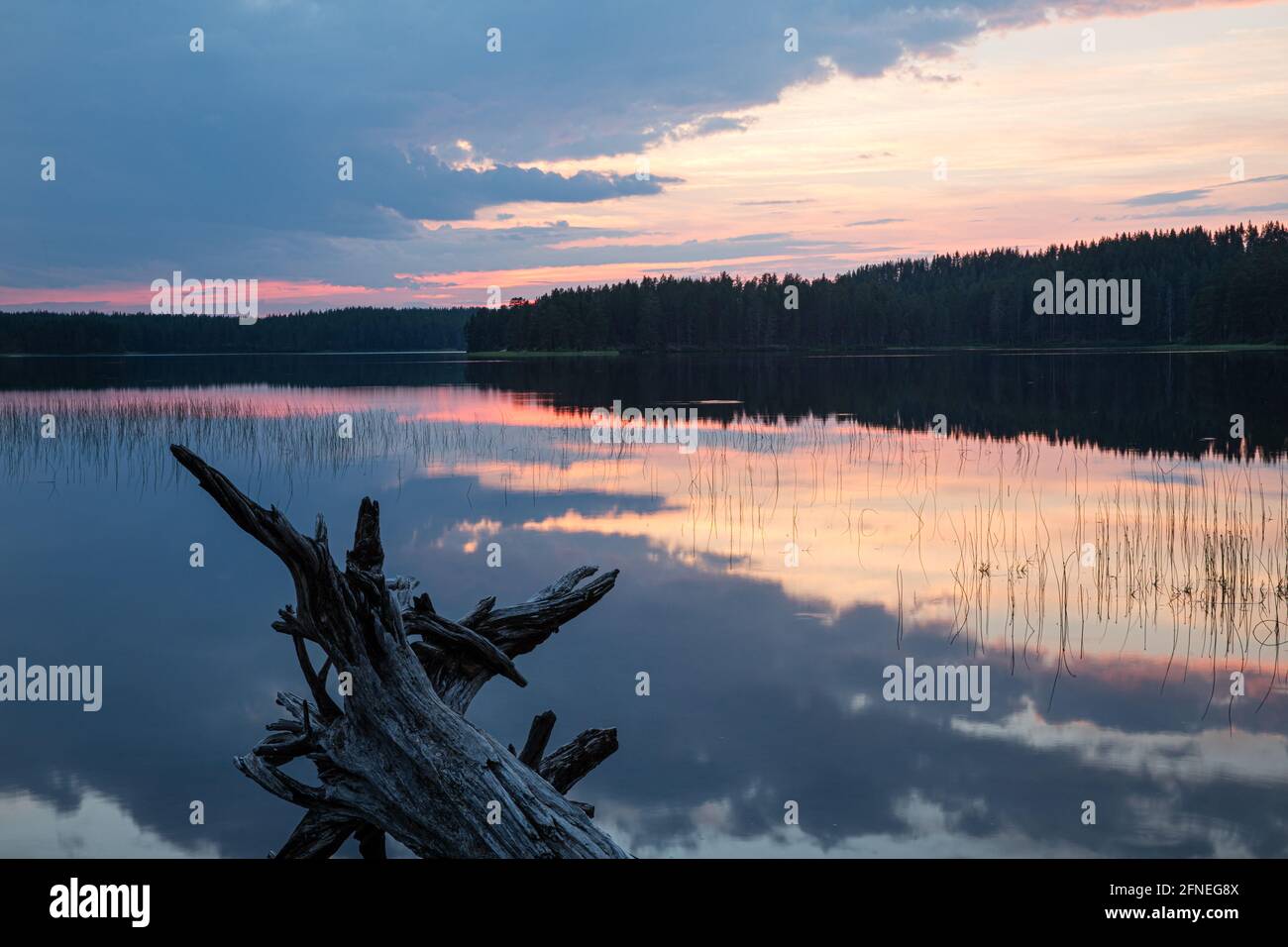 Hossa National Park, Finland Stock Photo - Alamy