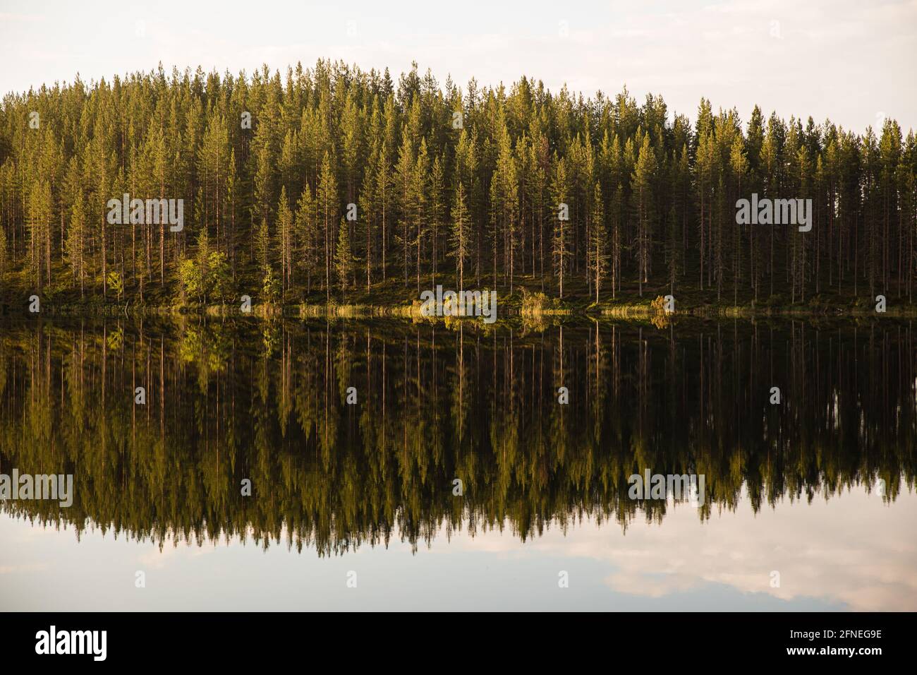 Hossa National Park, Finland Stock Photo - Alamy
