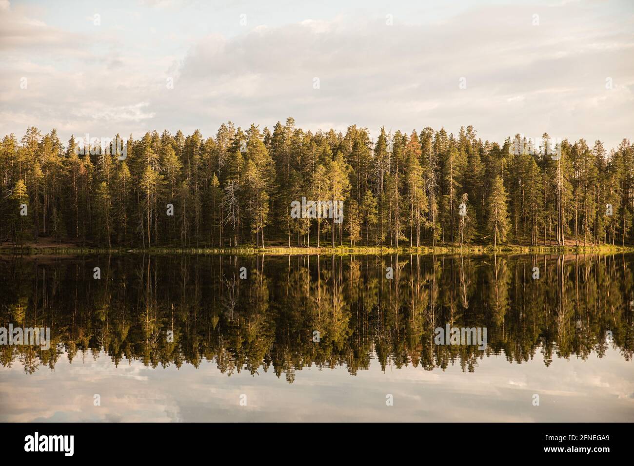 Hossa National Park, Finland Stock Photo - Alamy