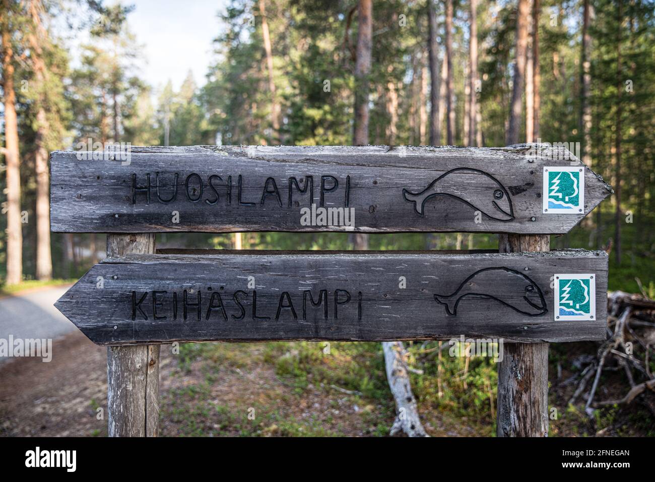 Hossa National Park, Finland Stock Photo - Alamy