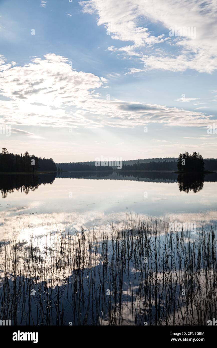 Hossa National Park, Finland Stock Photo - Alamy