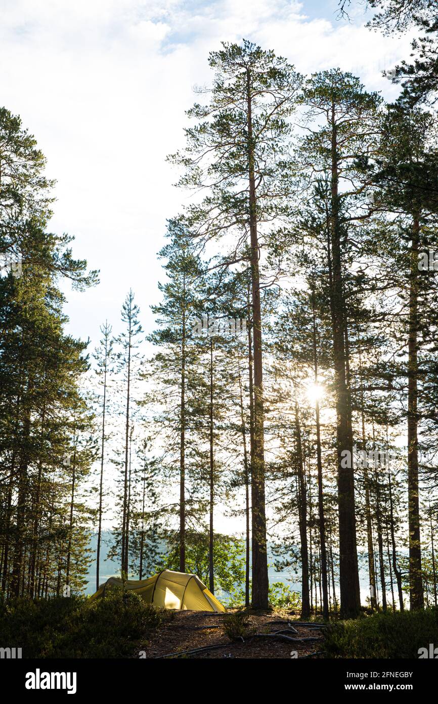 Hossa National Park, Finland Stock Photo - Alamy