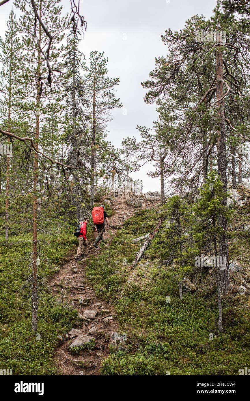 Hossa National Park, Finland Stock Photo - Alamy