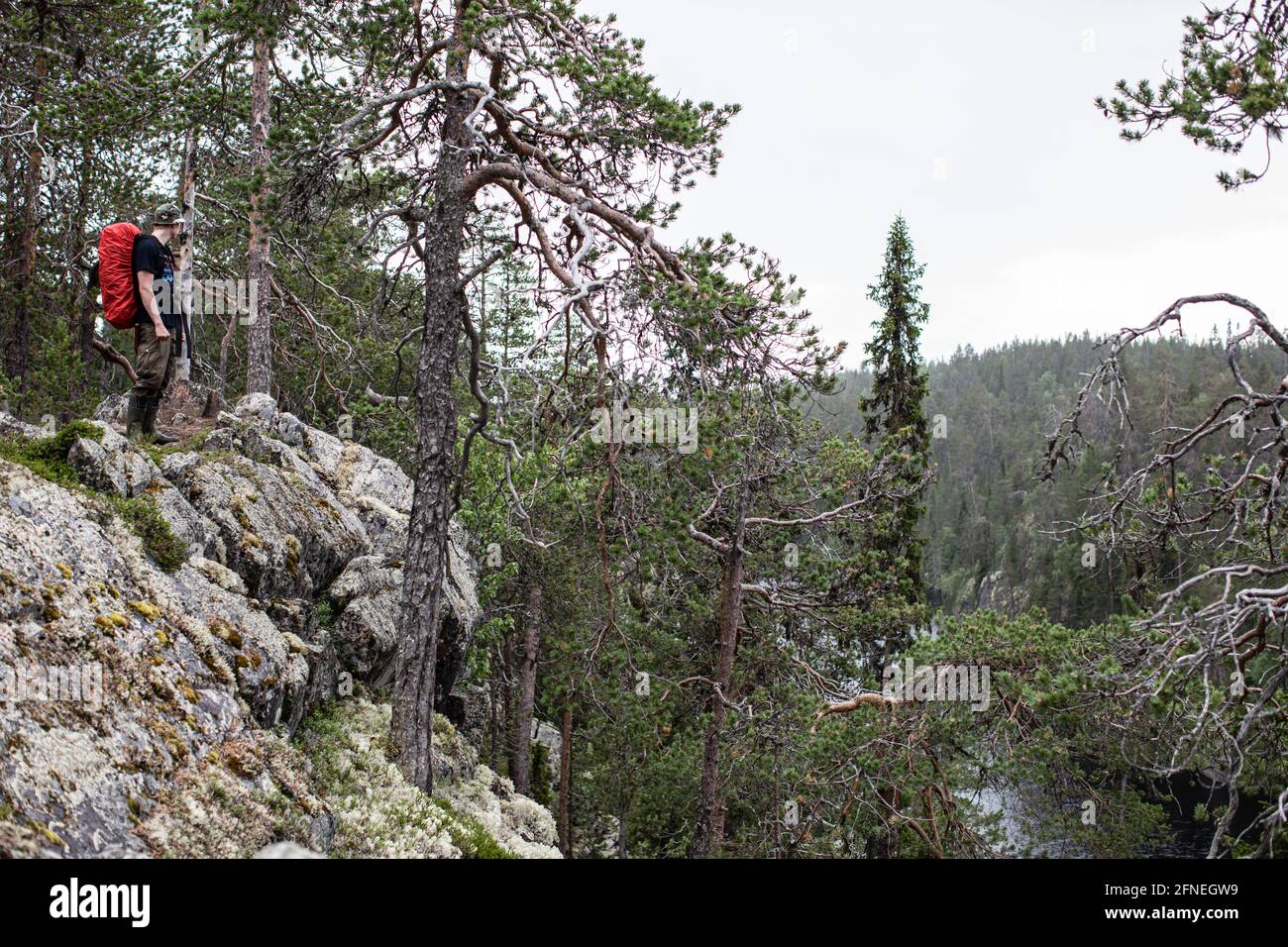 Hossa National Park, Finland Stock Photo - Alamy