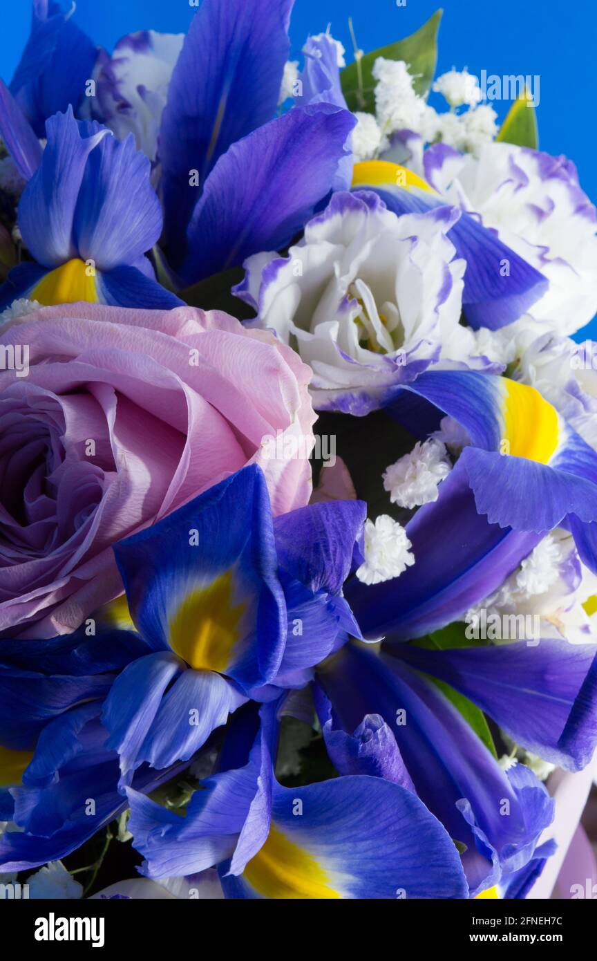 Iris flower bouquet hi-res stock photography and images - Alamy
