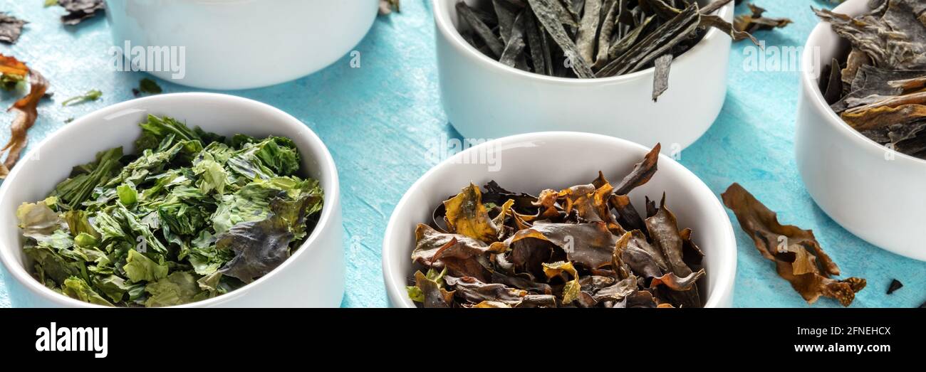 Edible seaweed panorama with various sea vegetables on a blue ...