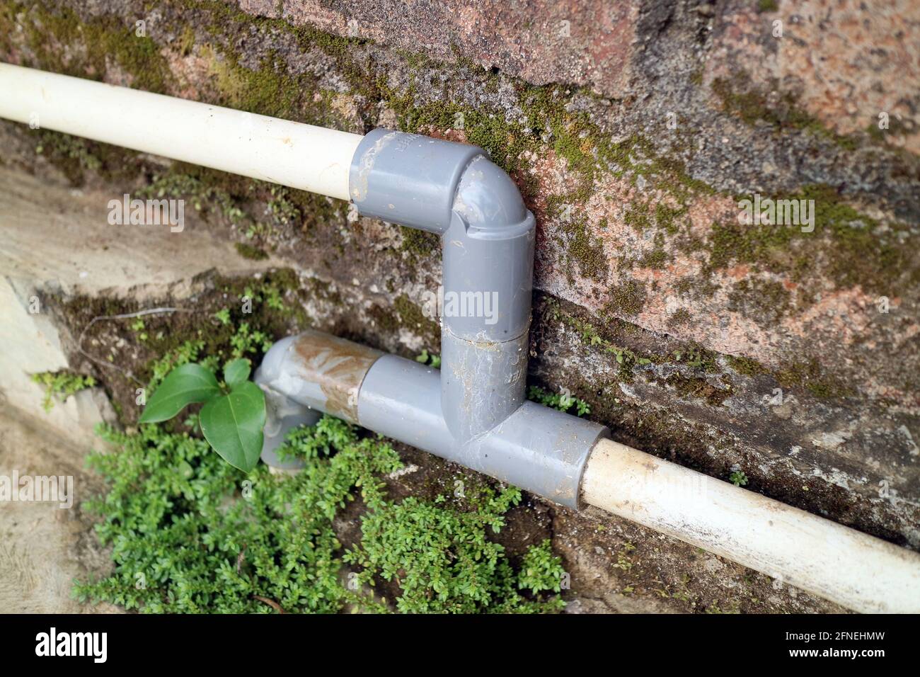 Paralon hi-res stock photography and images - Alamy