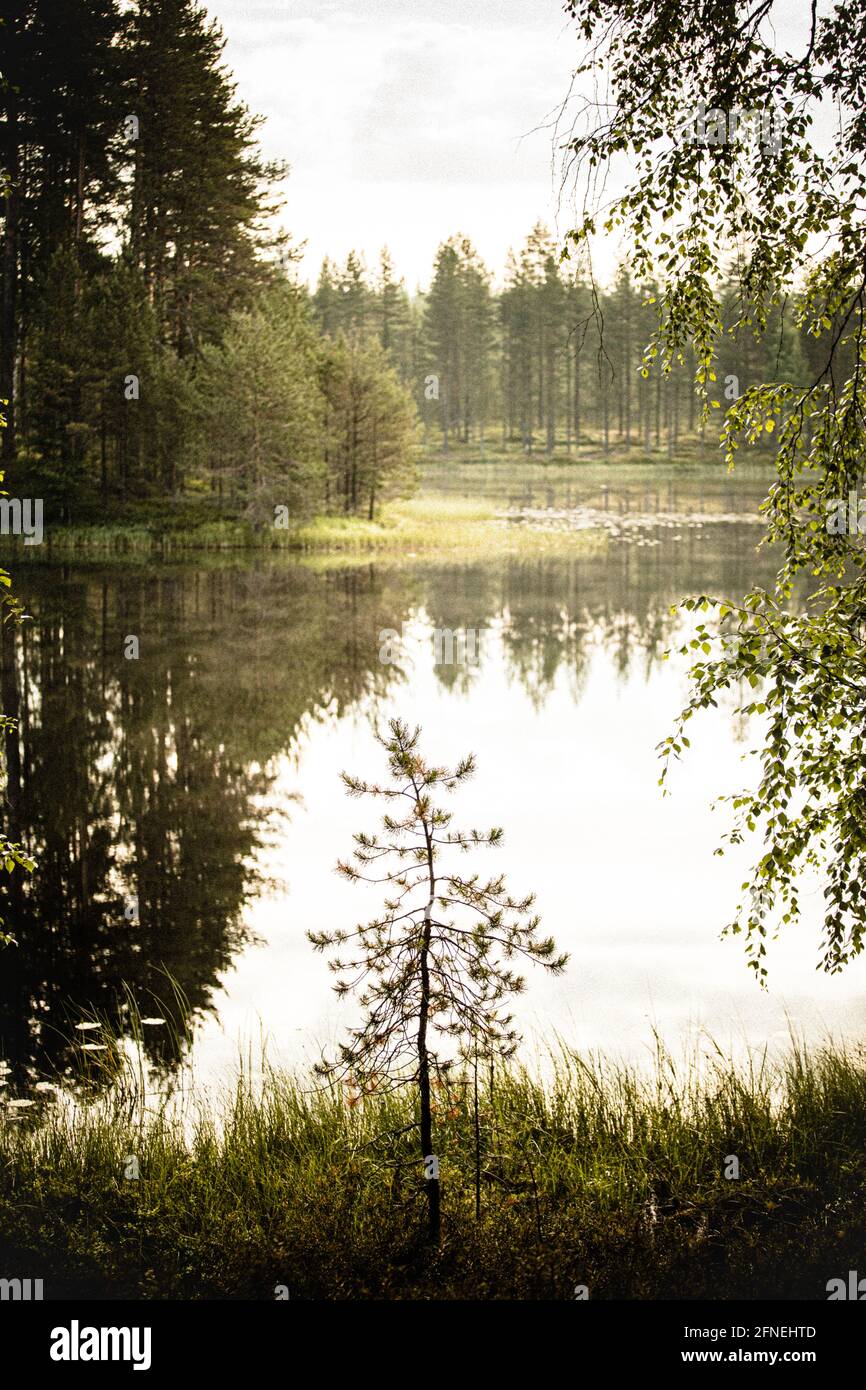 Hossa National Park, Finland Stock Photo - Alamy