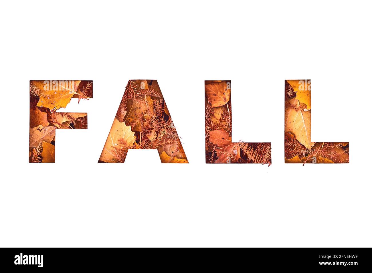 Paper cut fall text filled with texture of yellow and orange autumn ...