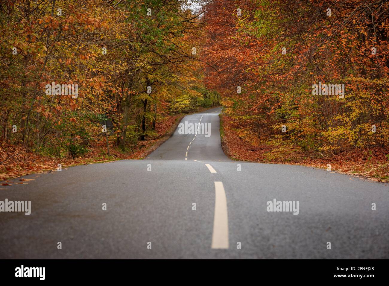 Autumn in denmark hi-res stock photography and images - Alamy