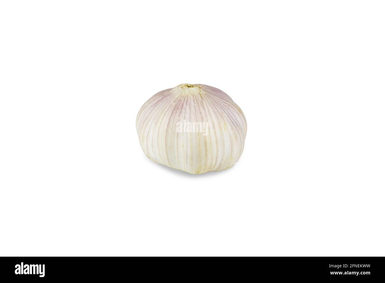 Light bulb of garlic close-up. Isolated on white background Stock Photo ...
