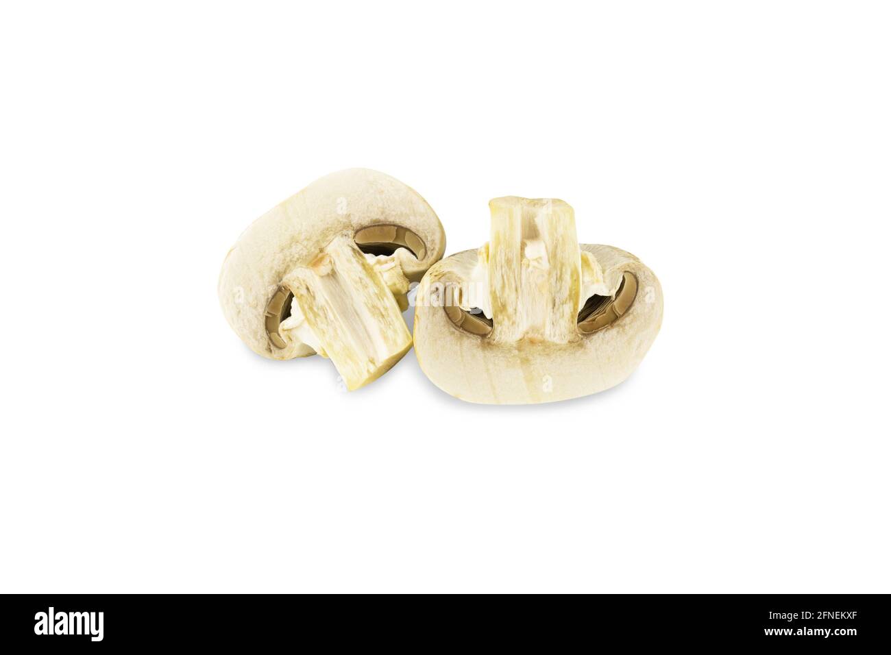 Two halves lengthwise hi-res stock photography and images - Alamy