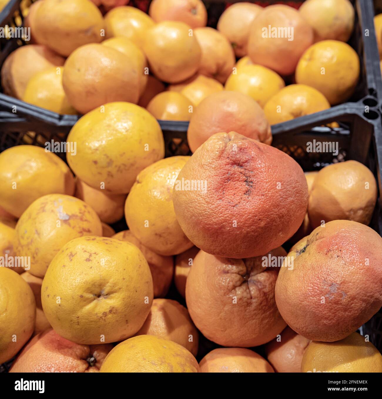 Oranges in container close up hi-res stock photography and images - Alamy