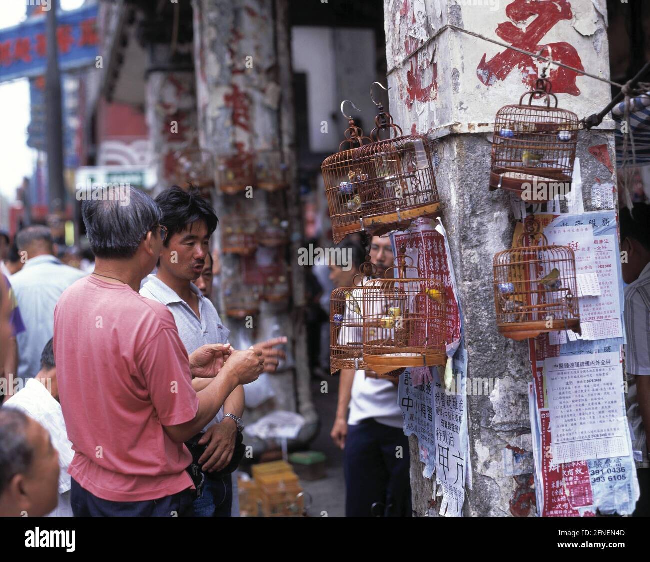 A trader and an interested customer stand in front of cages of birds at ...