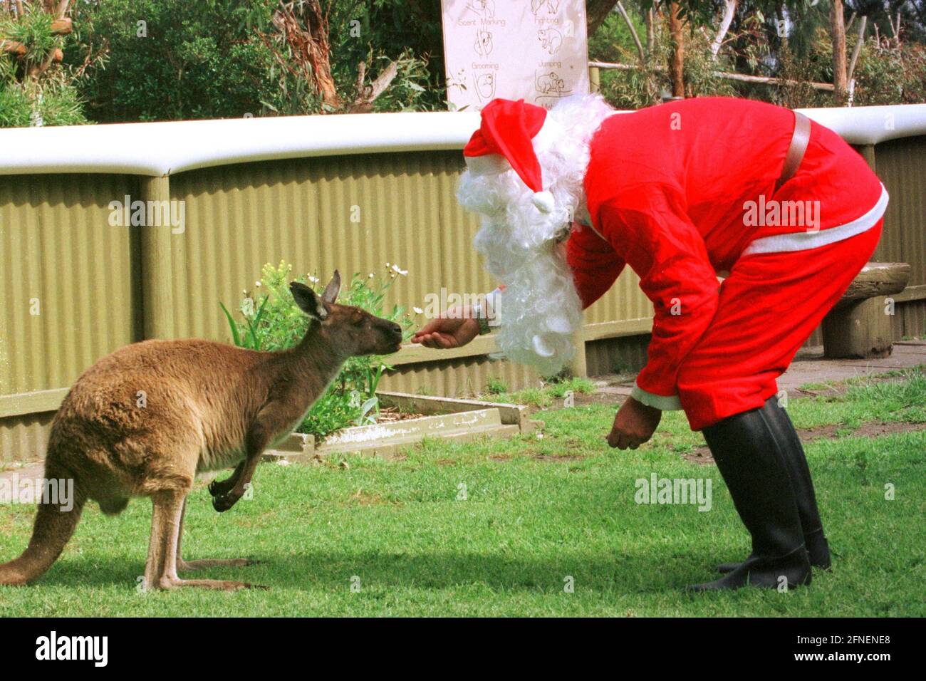 Kangaroo enclosure hi-res stock photography and images - Alamy