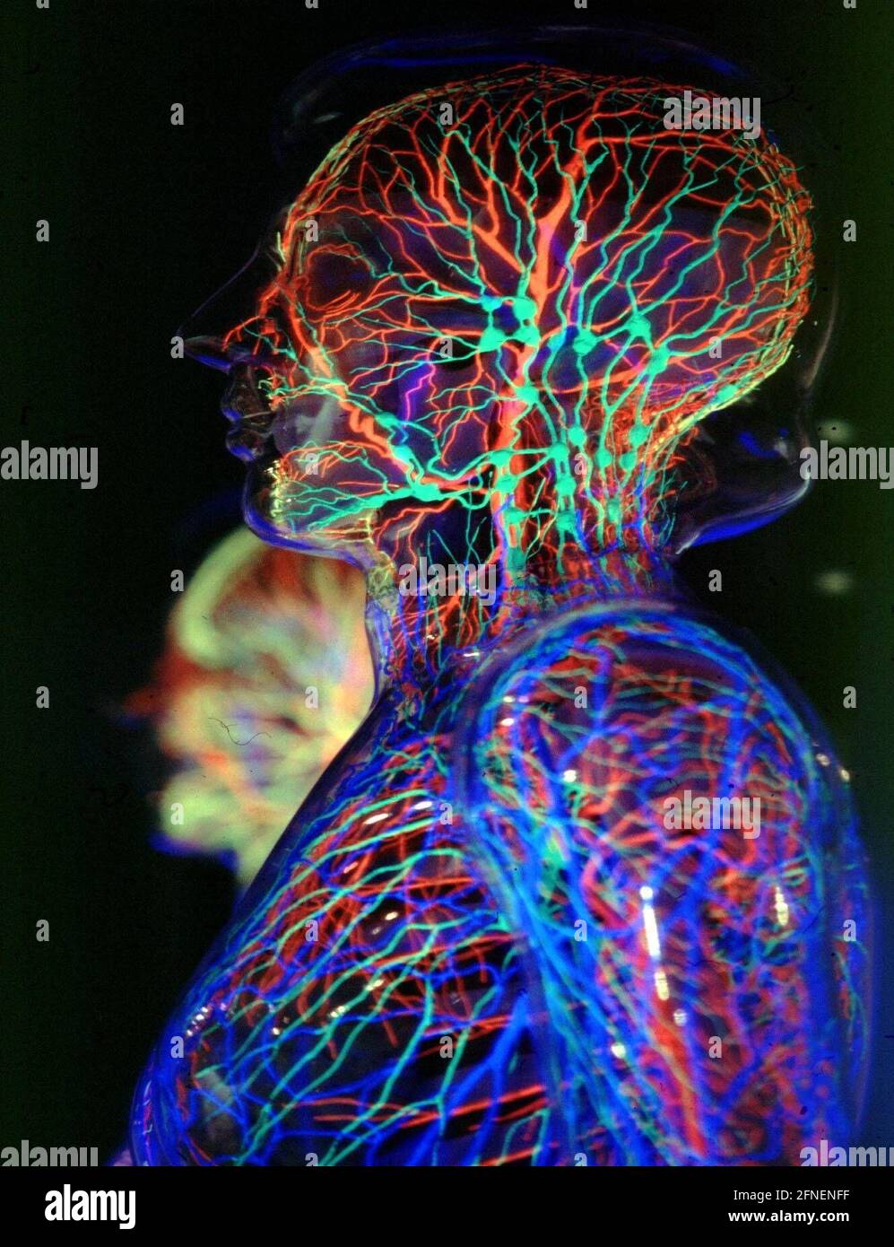 "The ""transparent human being"" - symbol of an unrestricted ...