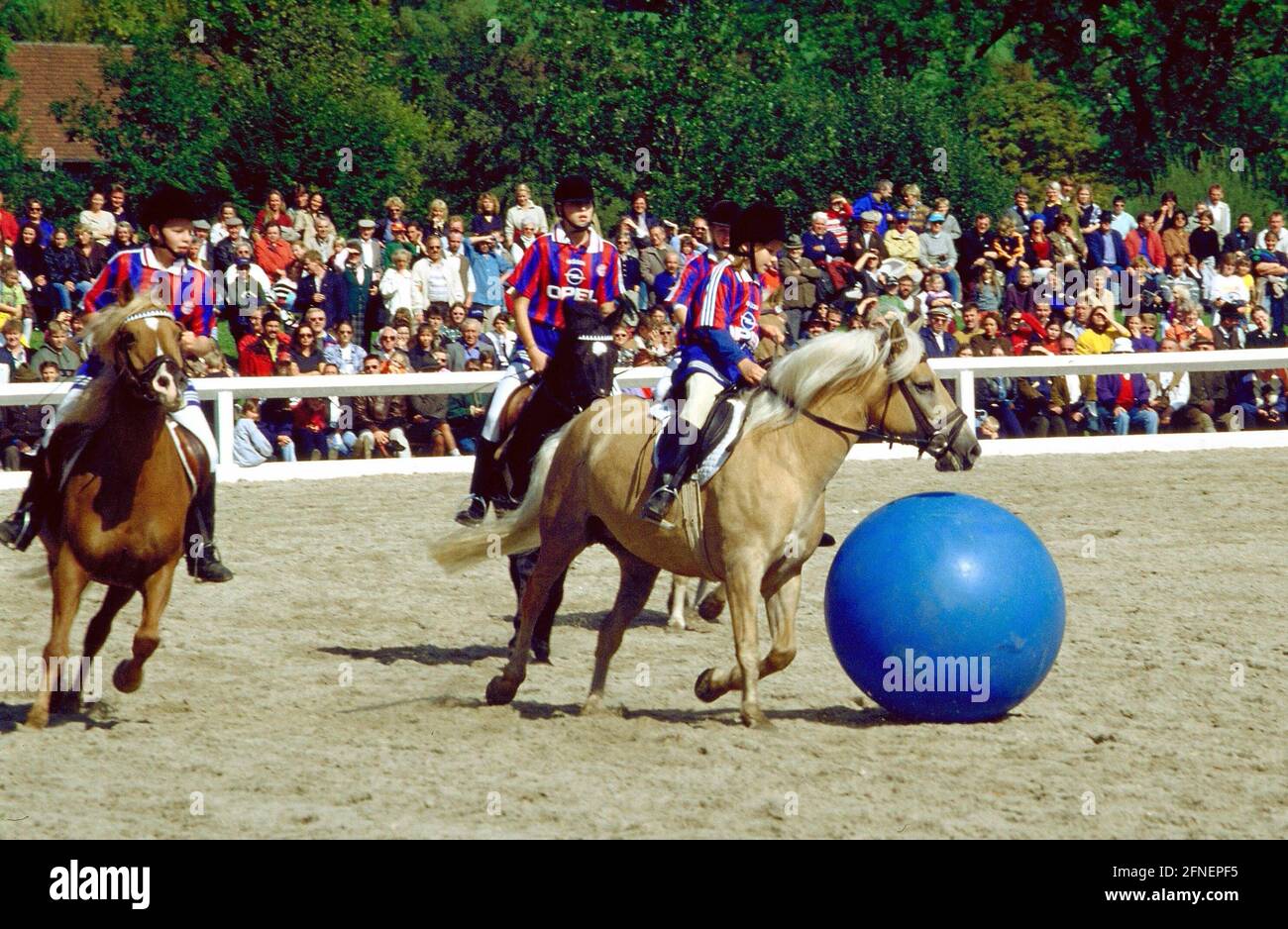 State Stud Parade [automated translation] Stock Photo - Alamy