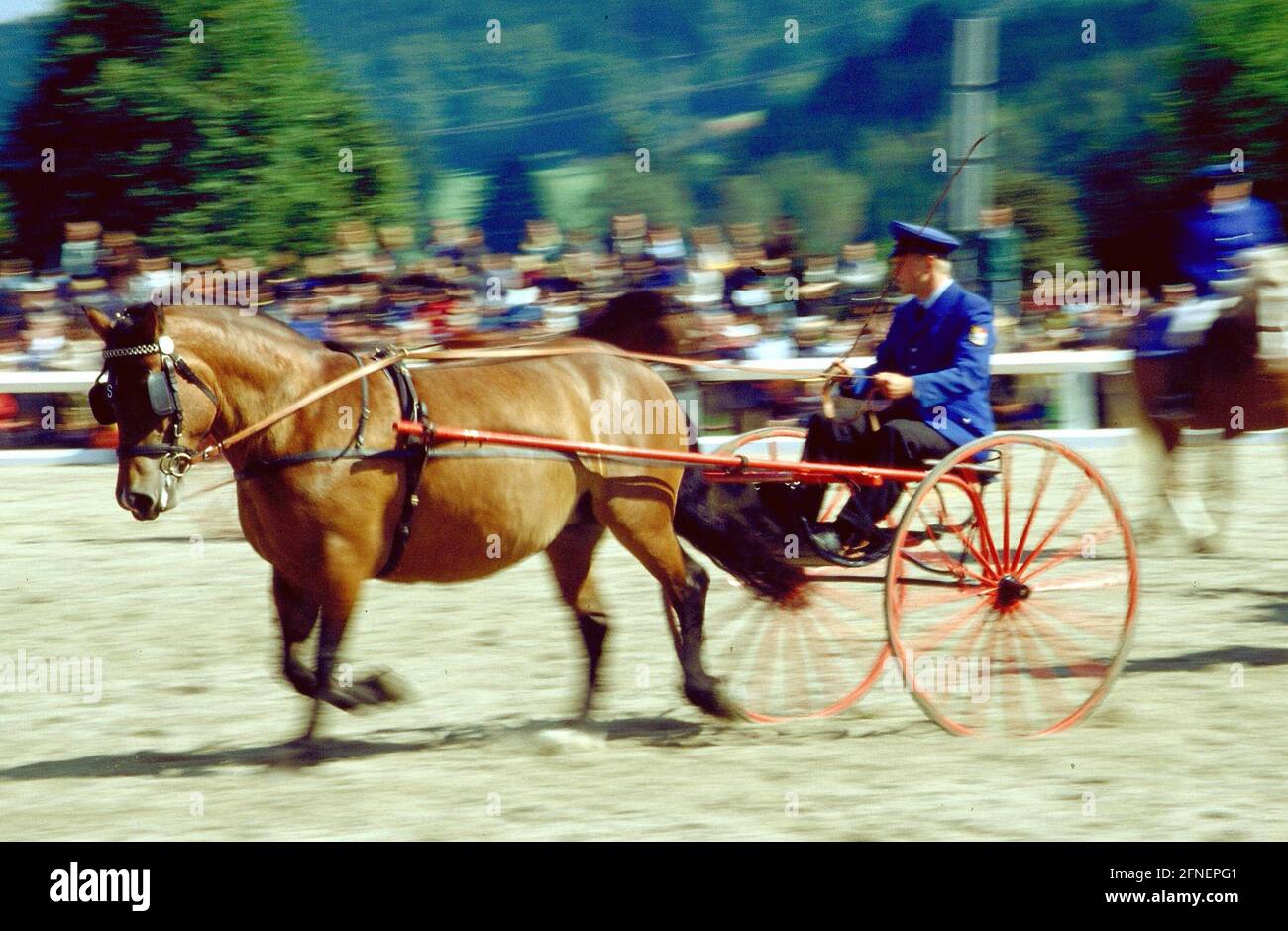 State Stud Parade [automated translation] Stock Photo - Alamy