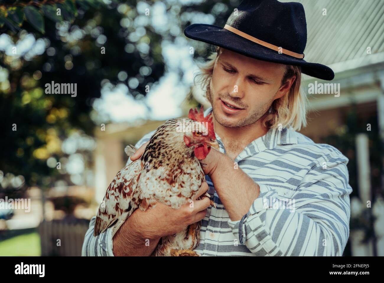 Caucasian male father petting pet chicken standing in farm village ...