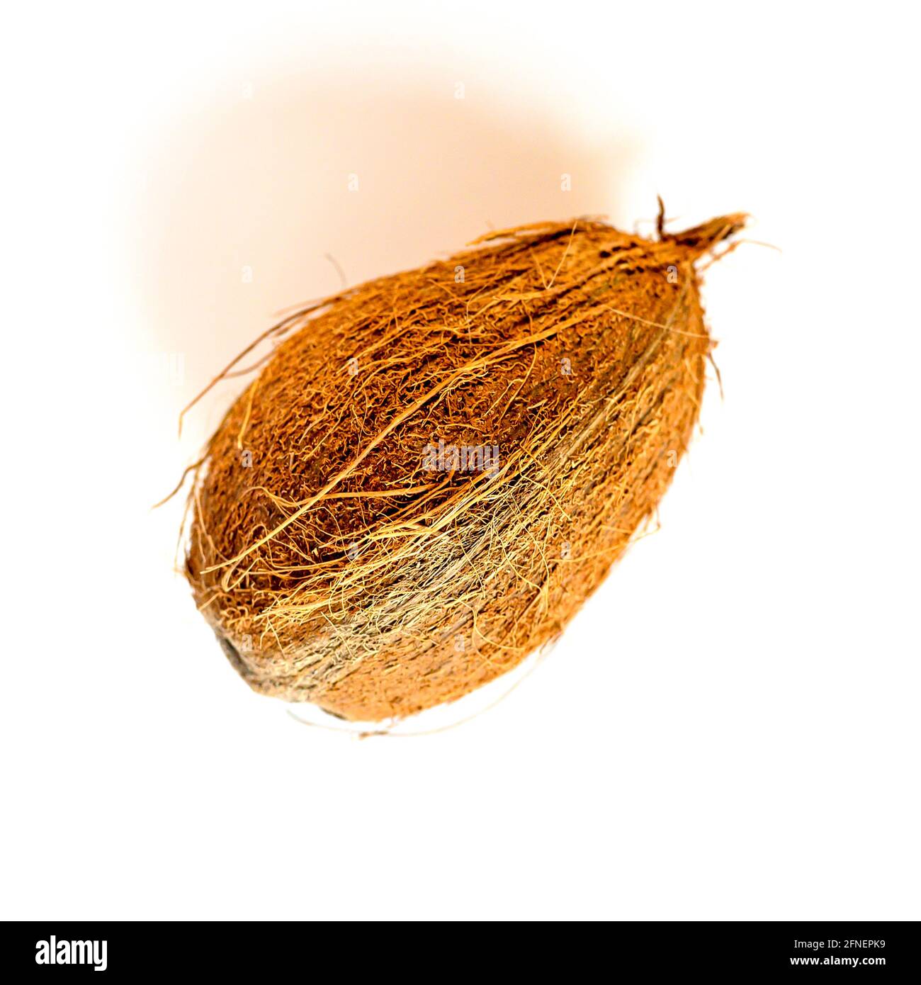coconut tropical fruit isolated on white background. bright one whole ...
