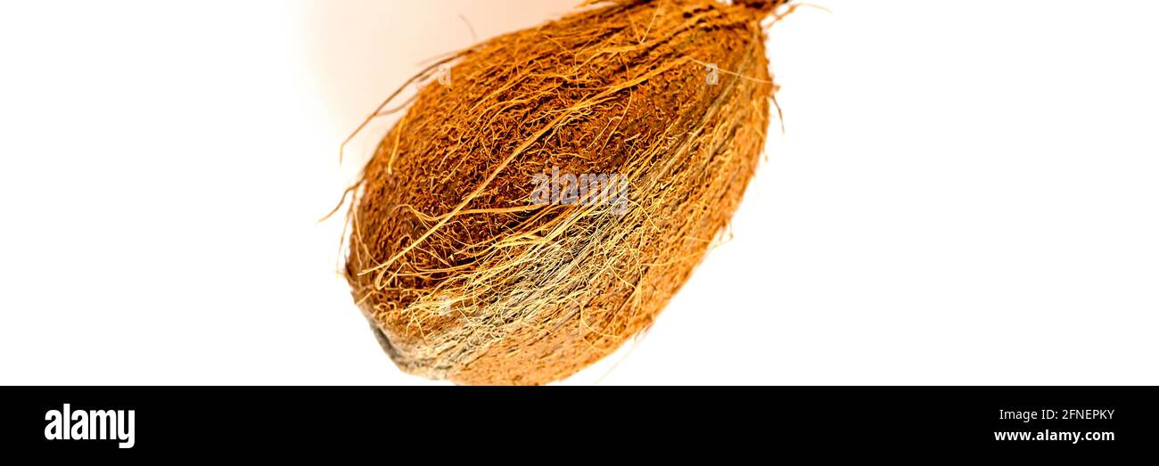 coconut tropical fruit isolated on white background. bright one whole ...