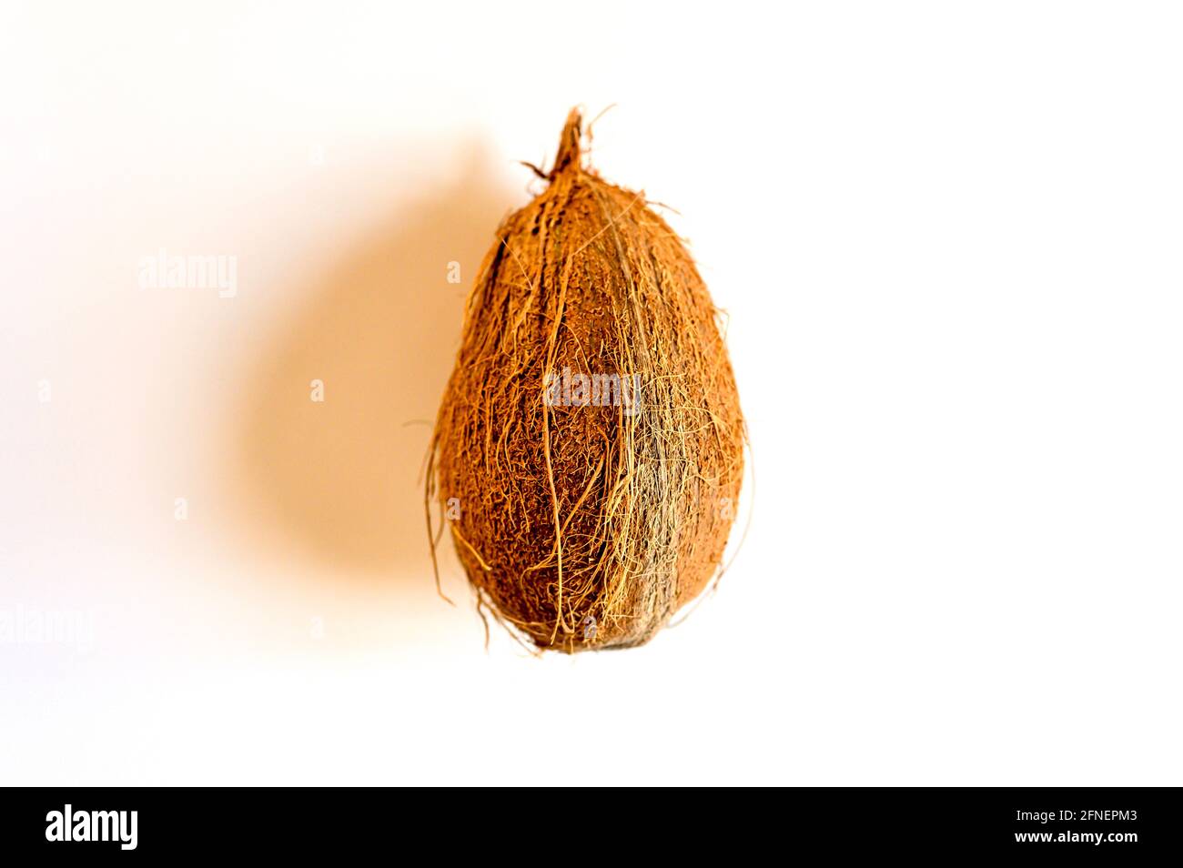 coconut tropical fruit isolated on white background. bright one whole ...
