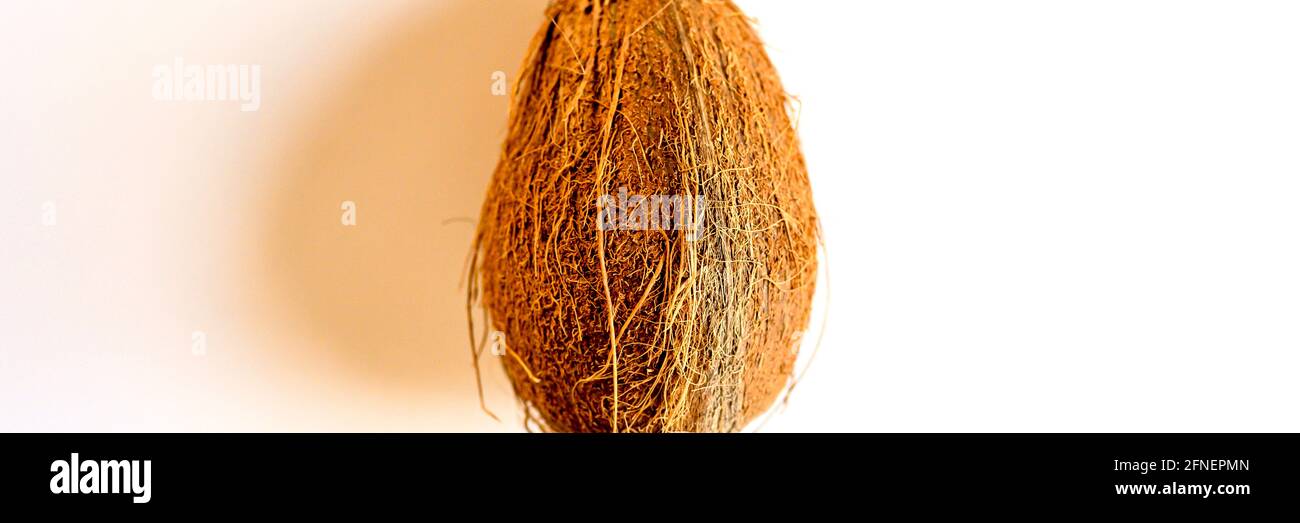 coconut tropical fruit isolated on white background. bright one whole ...