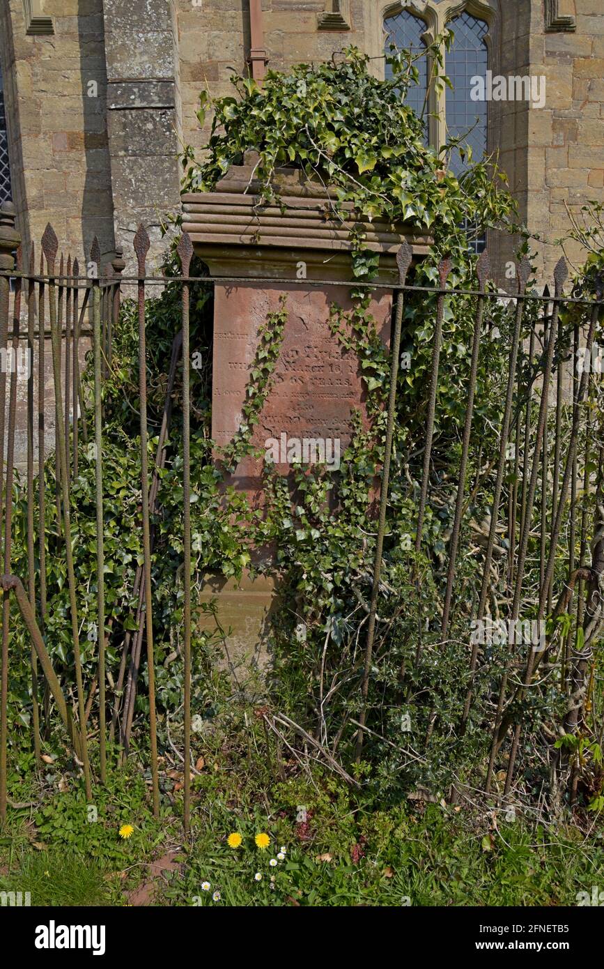 An overgrown, ivy covered tomb at St Peter's Church, Chelmarsh ...