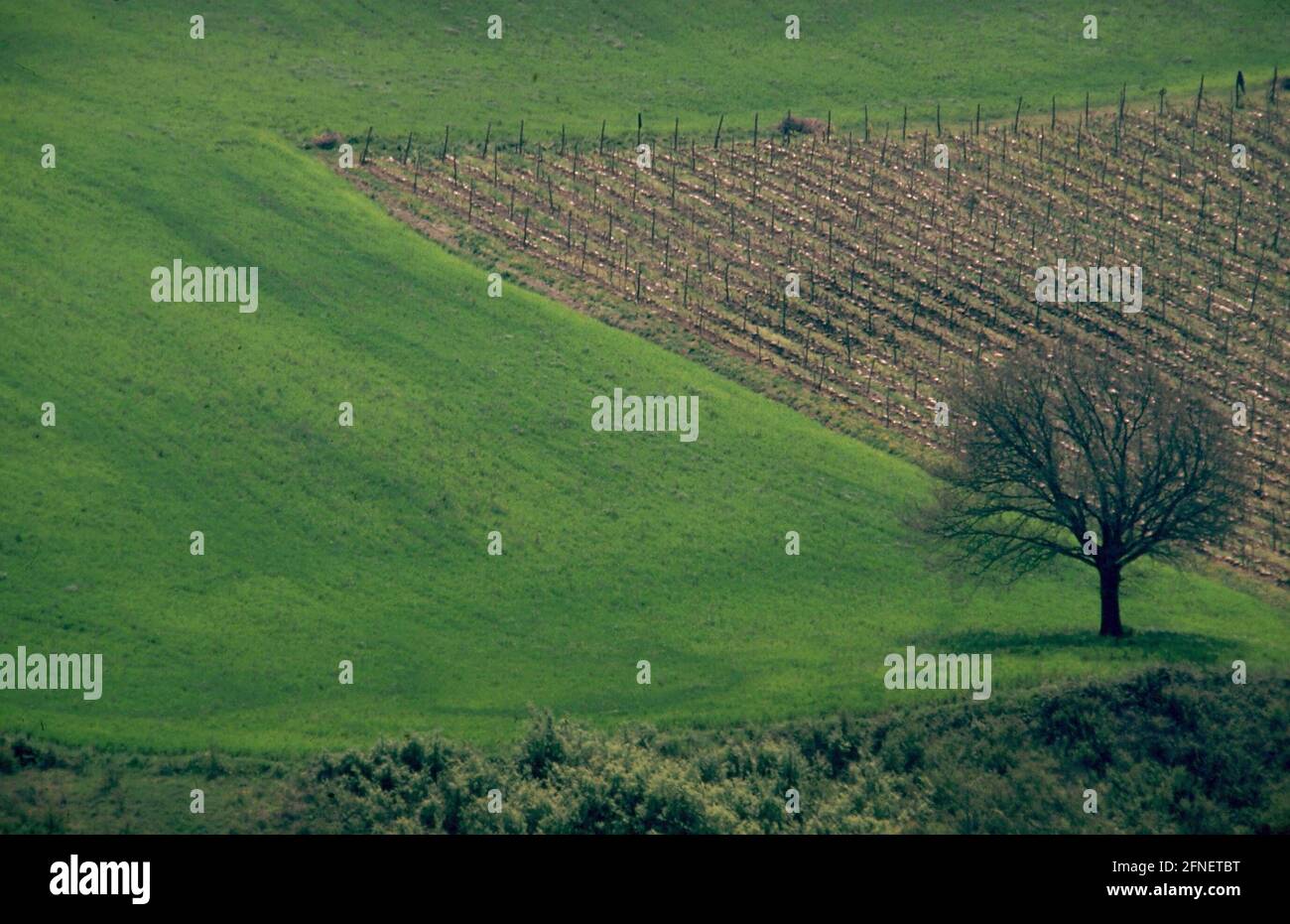 Landscape in Tuscany. [automated translation] Stock Photo - Alamy