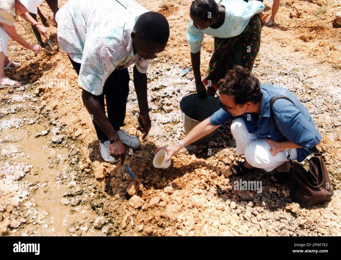 As part of development aid, trees are planted in Africa. [automated ...